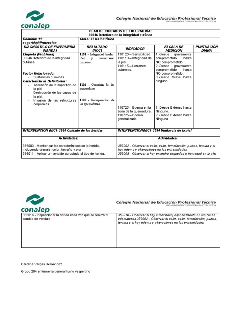 Formato De Plan De Cuidados De Enfermeria