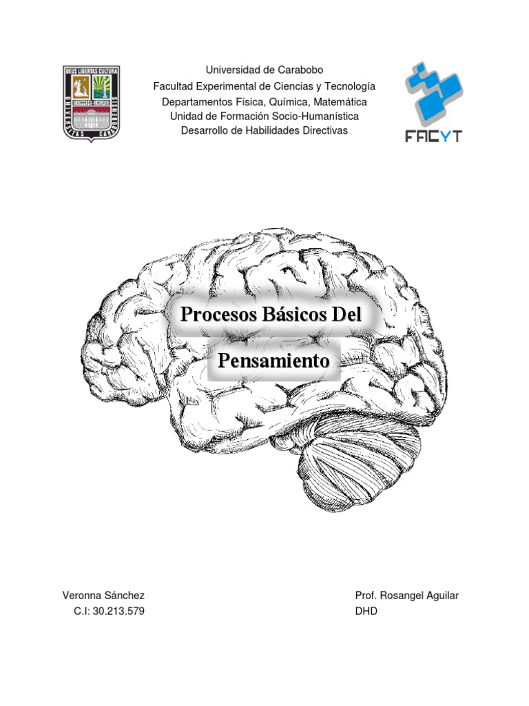 Procesos Básicos del Pensamiento | PDF | Percepción | Pensamiento