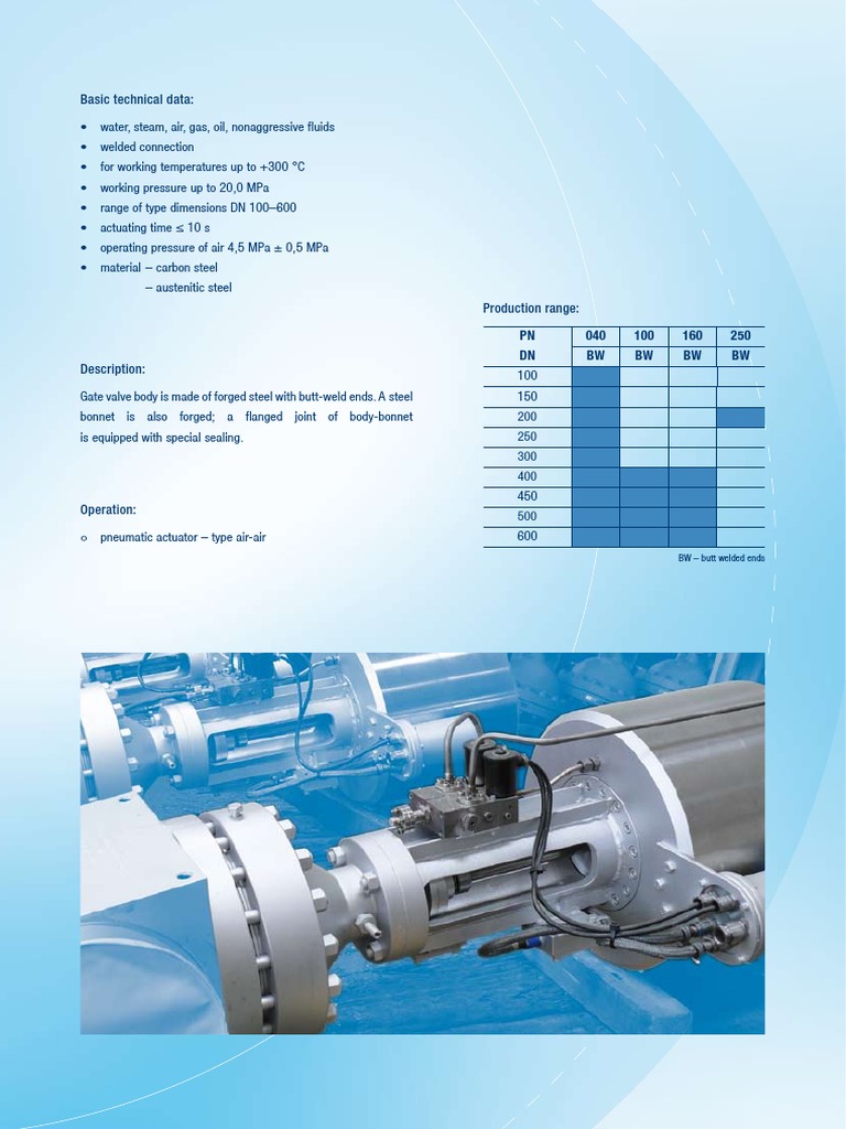 MSA-of-Valves 37 | PDF