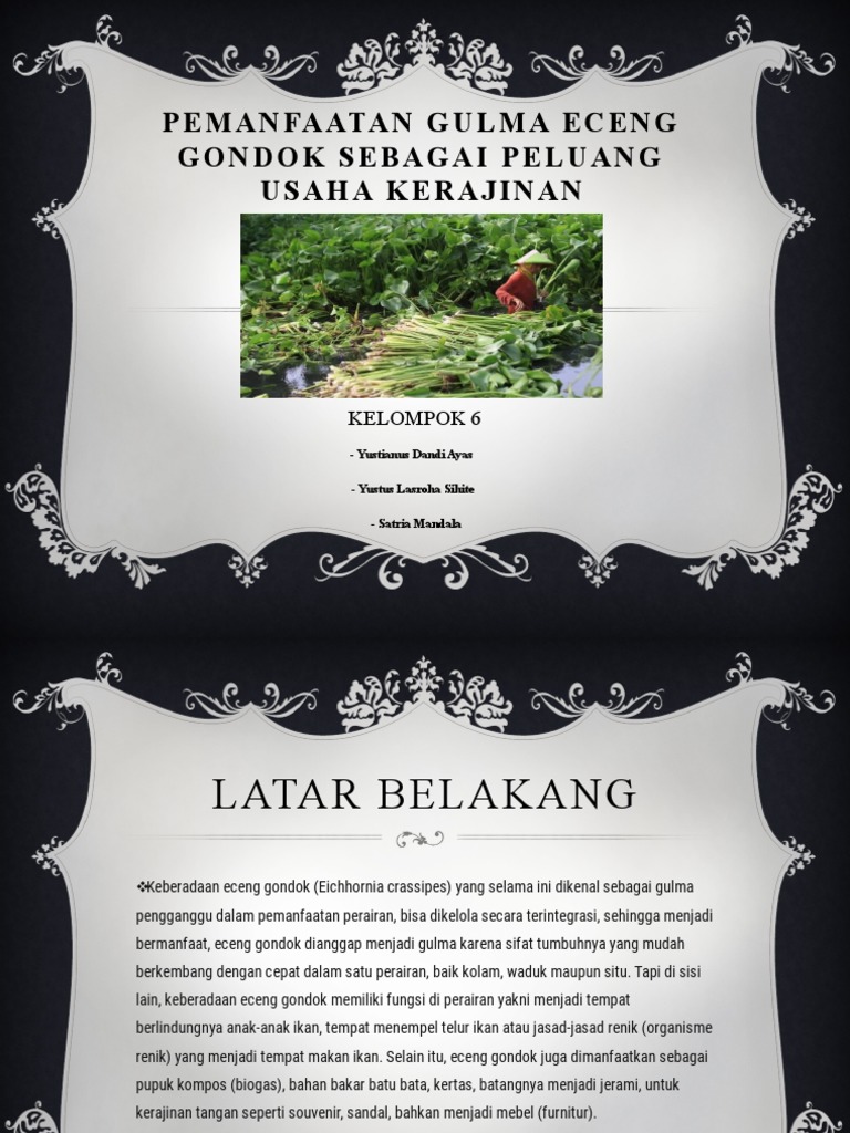 Peluang Usaha Kerajinan Eceng Gondok | PDF