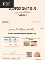 Lesiones Elementales Primarias | PDF | Piel | Dermatología