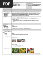 MATATAG Banghay Aralin Sa Araling Panlipunan 7 | PDF