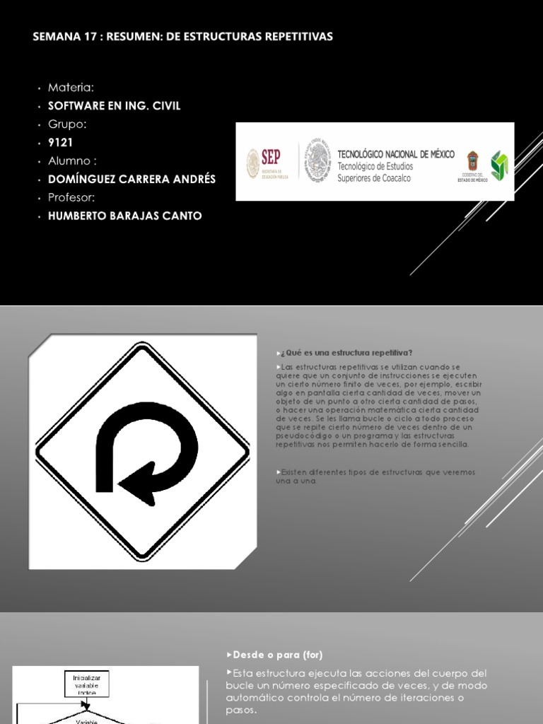 Estructuras Repetitivas en Software | PDF