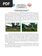 Narrative Report BSP | PDF | Scouting | Youth Movements