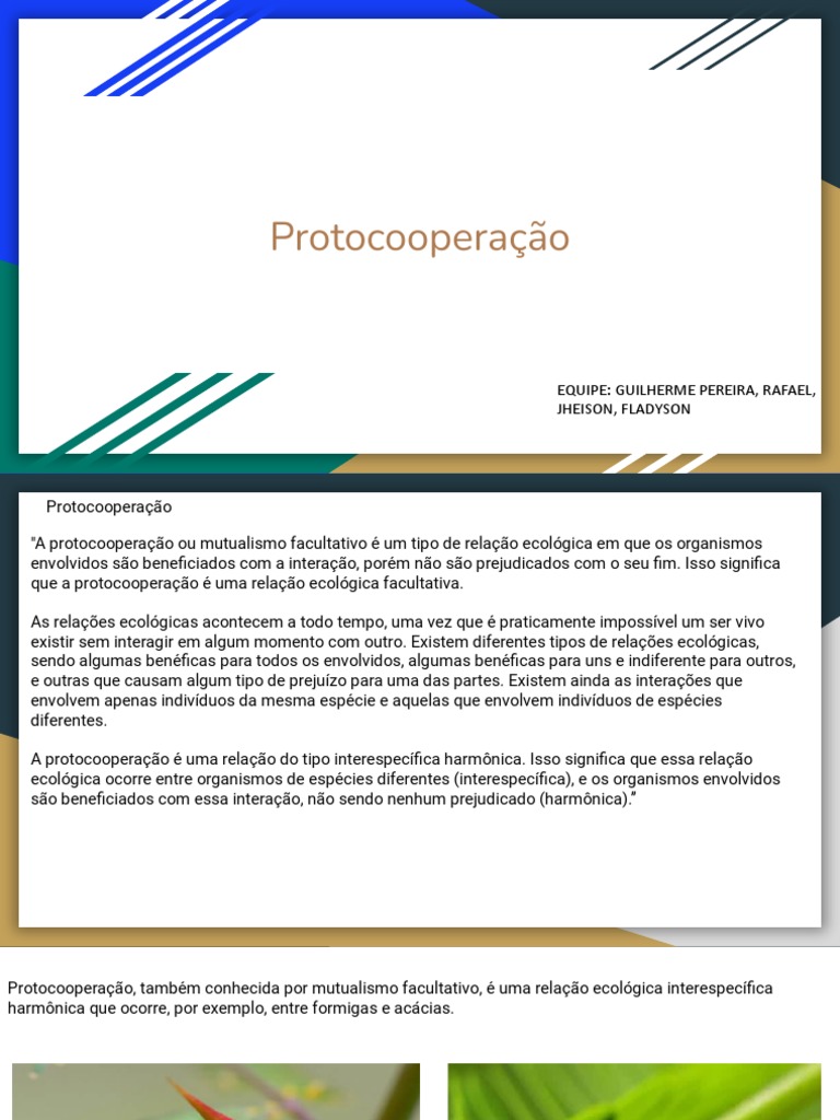 Protocooperação: relação ecológica facultativa entre espécies | PDF ...