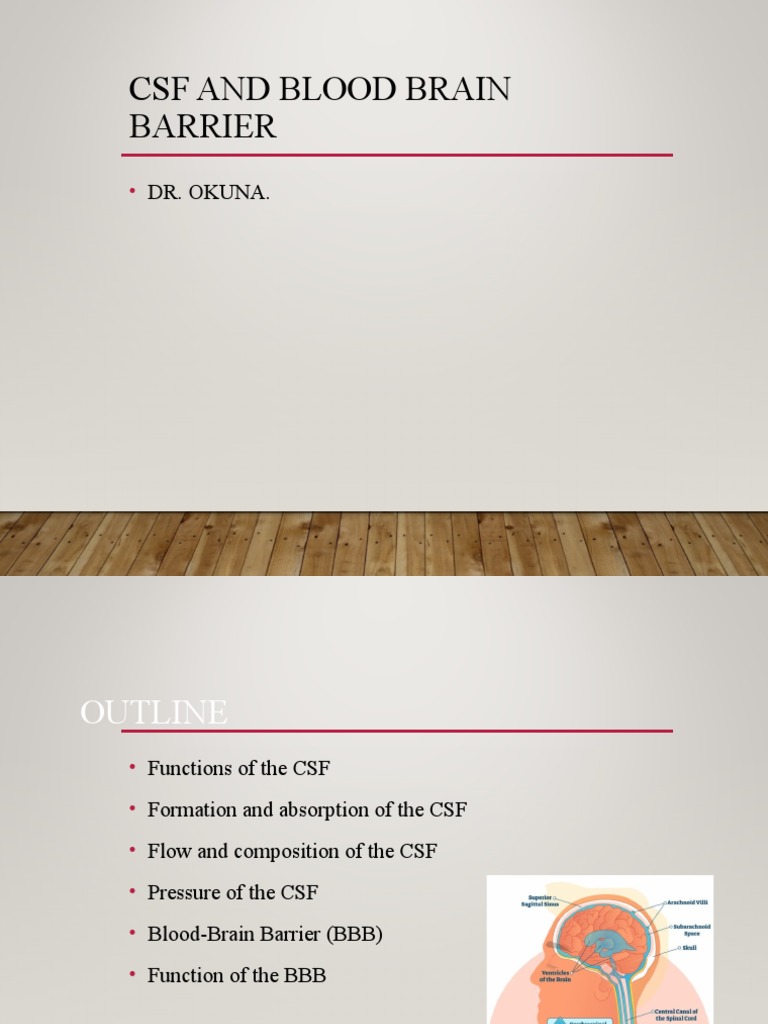 CSF, BBB pRESENTATION | PDF | Cerebrospinal Fluid | Medical Specialties