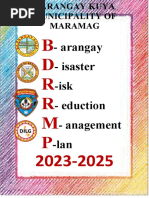 Barangay Development Plan (2024-2026) | PDF | Leasehold Estate | Lease