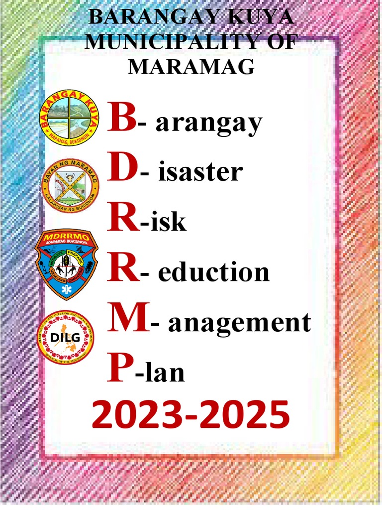 BDRRMP 2023-2025 TEMPLATE | PDF | Emergency Evacuation | Toilet