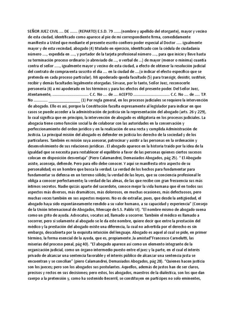 Modelo de Poder Especial Por Persona Natural | PDF | Juez | Separación ...