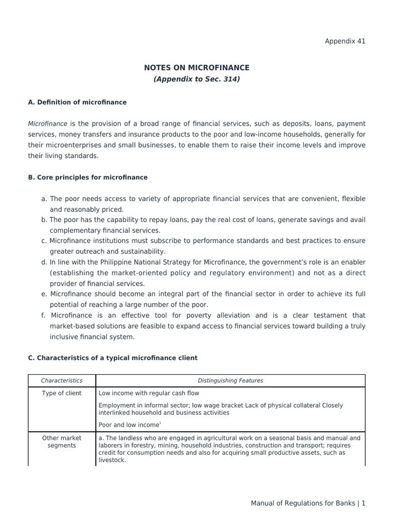 Appendix 41 PDF | PDF | Microfinance | Loans