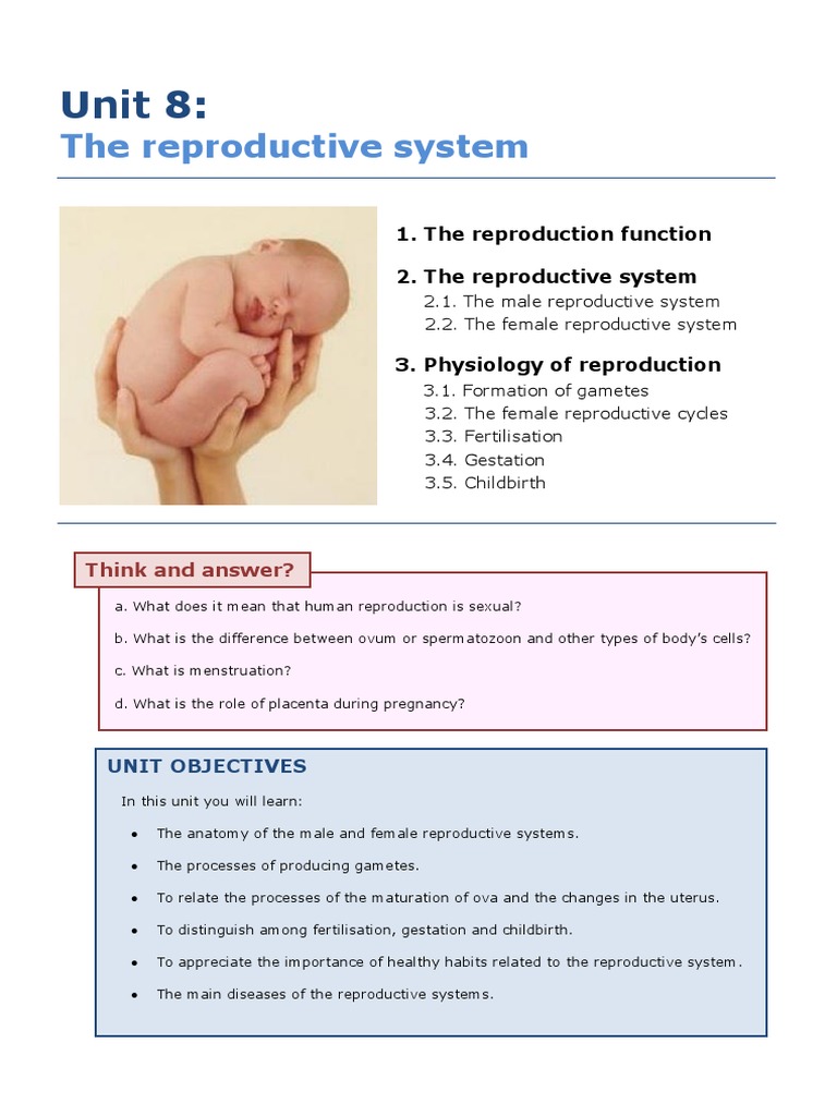 Unit 8 The Reproductive System Bilingual Education | PDF | Menstrual ...