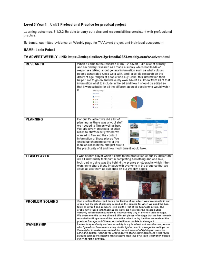 Professional Practice Assessment Worksheet | PDF
