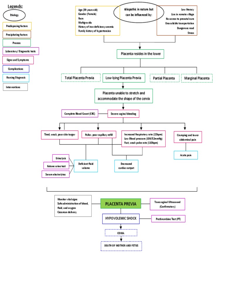 Complete Placenta Previa: A Case Study of a 39-Year-Old Female in a ...