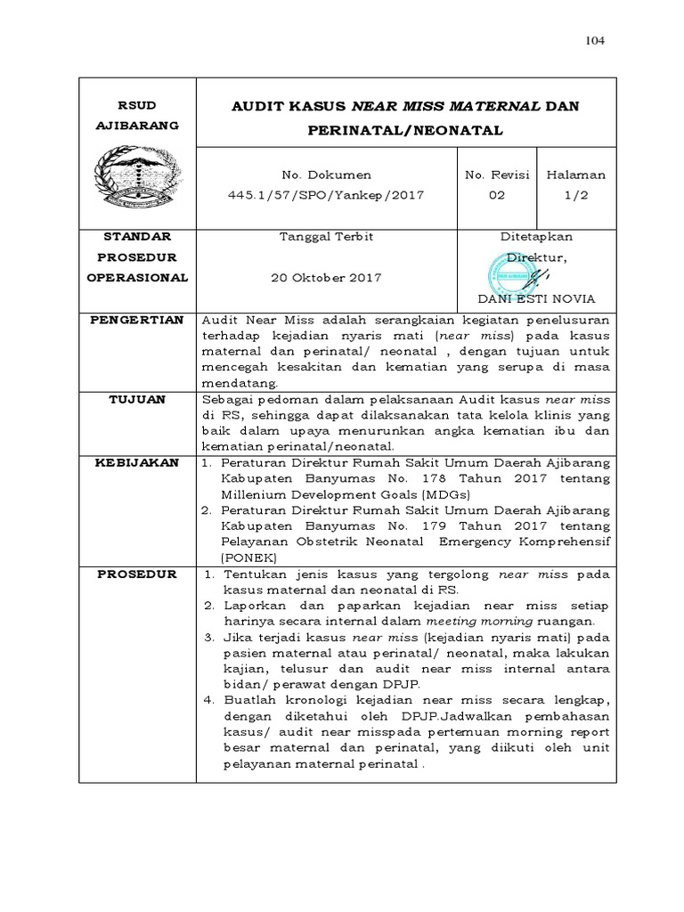 SPO Audit Near Miss PDF | PDF