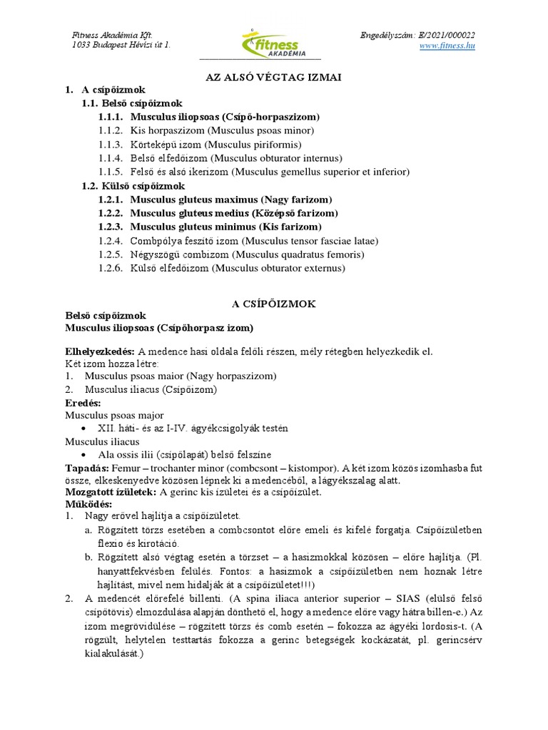 Az Also Vegtag Izmai A Csipo Izmai | PDF