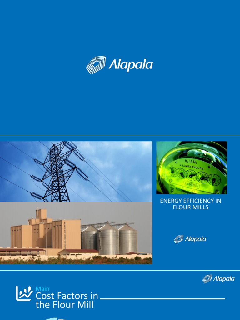 Energy Efficiency Improvements for Flour Mills | PDF | Efficient Energy ...