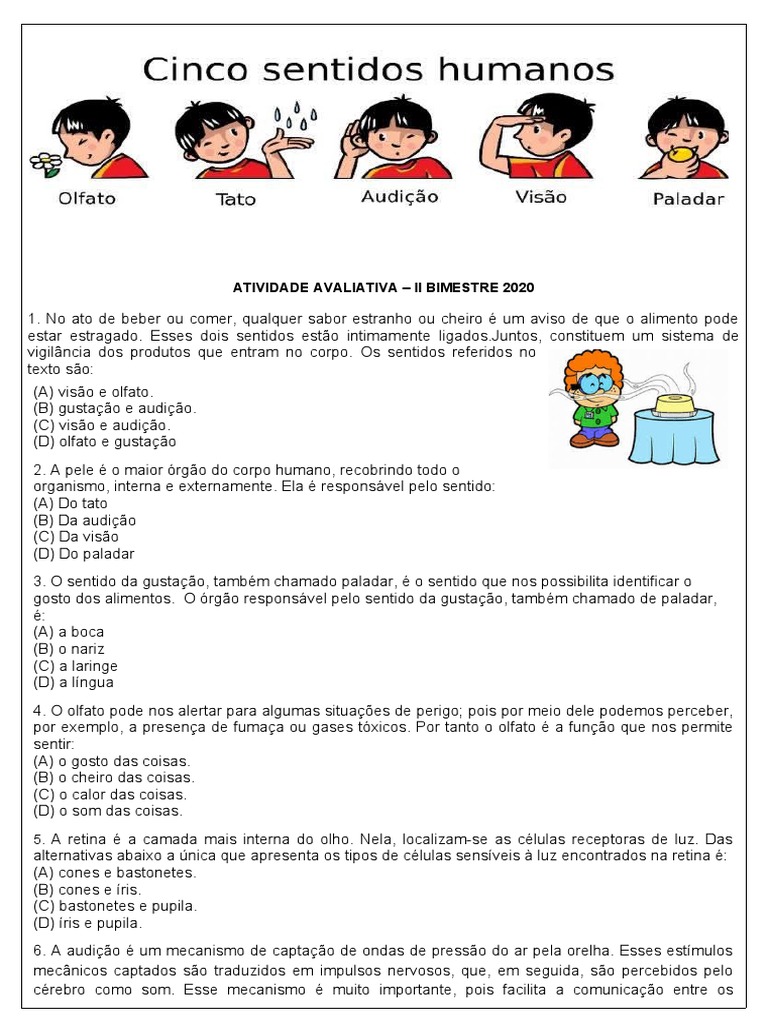 Atividades sobre os Sentidos - 6º Ano | PDF | Orelha | Gosto