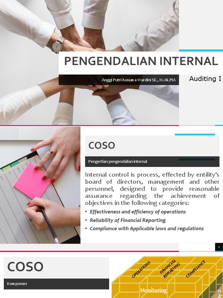 Understanding Internal Controls | PDF | Internal Control | Information ...