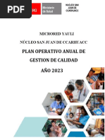Plan Anual Refcon | PDF