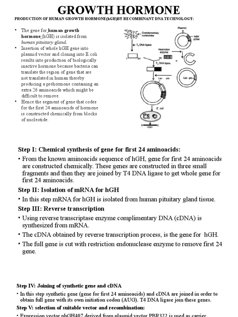 Growth Hormone | PDF | Gene | Complementary Dna