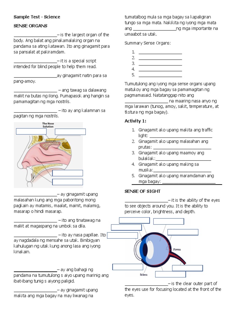 2nd Quarter Reviewer in Science 3 - Test | PDF