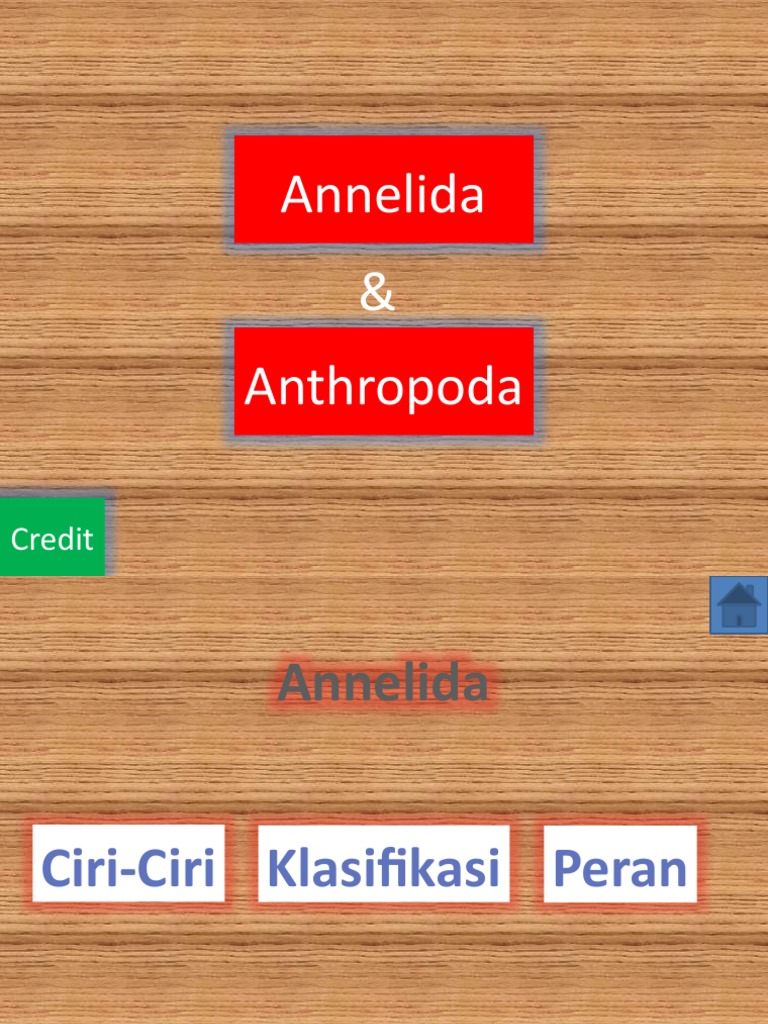 Annelida & Anthropoda | PDF