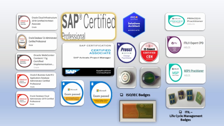 ISO/IEC Badges: Itil - Life Cycle Management Badges | PDF