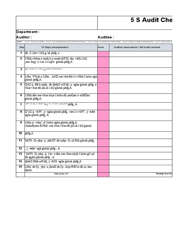 5S Check Sheet | Download Free PDF | Accounting