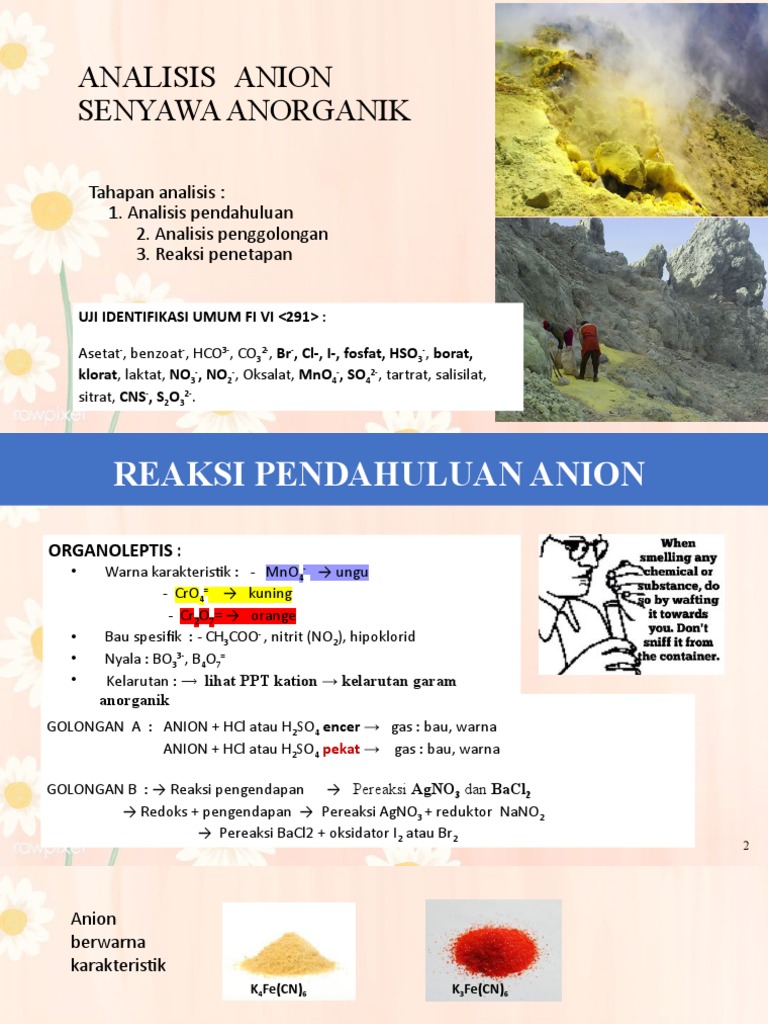Um 2023 Analisis Anion | PDF