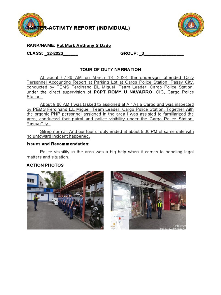 AAR INDIVIDUAL FORM Pat Dado | PDF