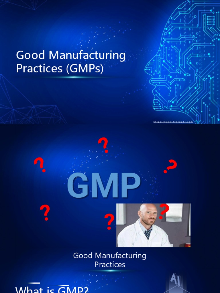 GMP Guidelines for Food Safety | PDF