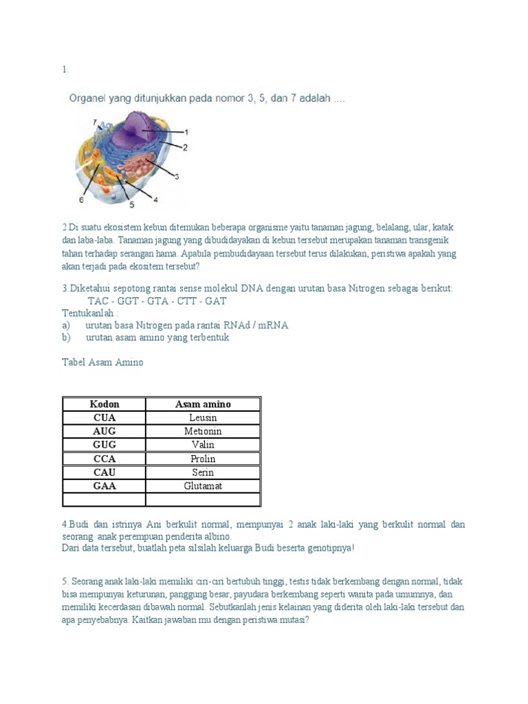 Soal Latihan Biologi 3.9 | PDF