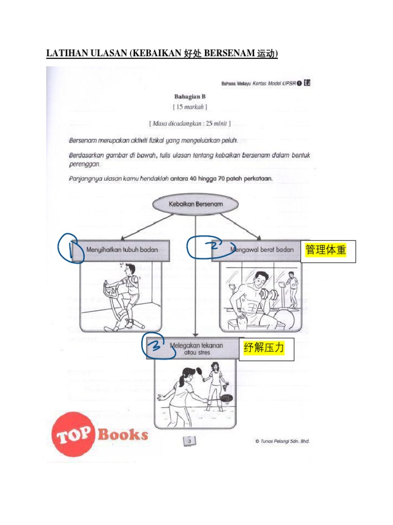 Latihan Ulasan (Kebaikan Bersenam) | PDF