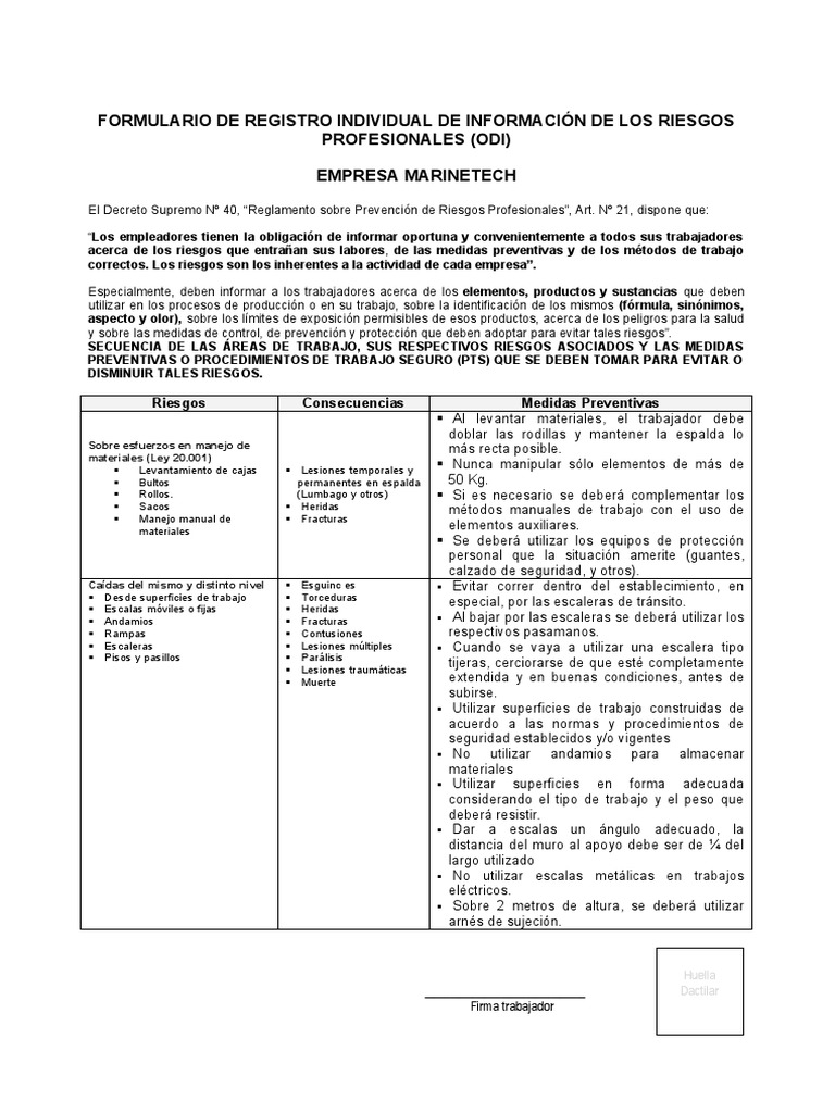 Ejemplo Formato DAS | PDF | Protector solar