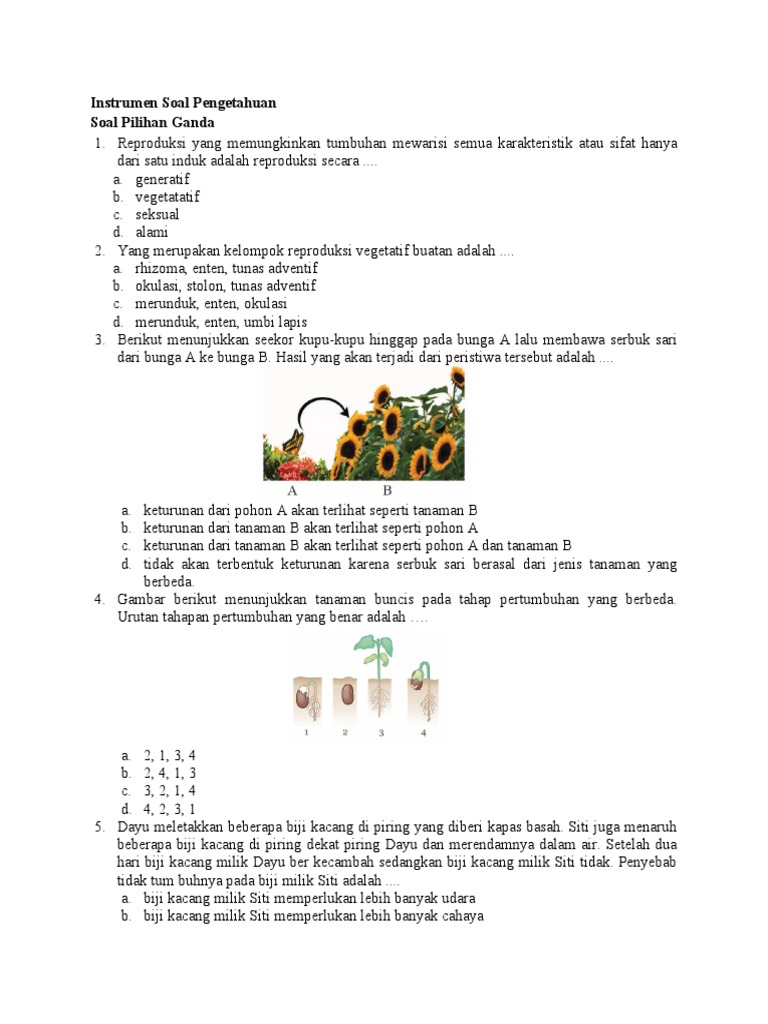 Instrumen Soal Pengetahuan | PDF