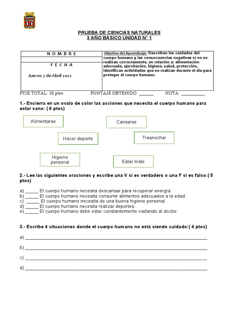 Prueba de Ciencias Naturales 3 Basico 1 Unidad | PDF