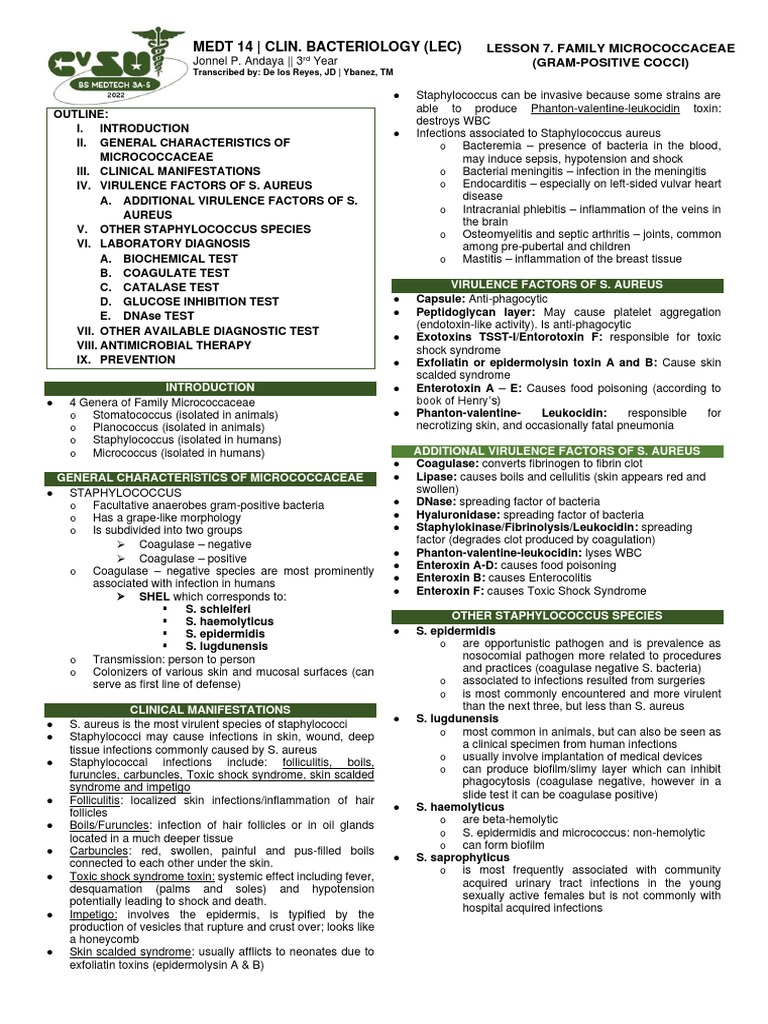 7 Family Micrococcaceae PDF | PDF | Staphylococcus | Staphylococcus Aureus