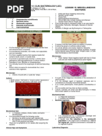 micra-av2-spec-sheet | PDF | Artificial Cardiac Pacemaker | Internal ...