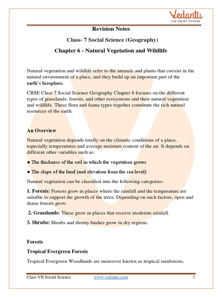 Natural vegetation and wildlife class 7 store