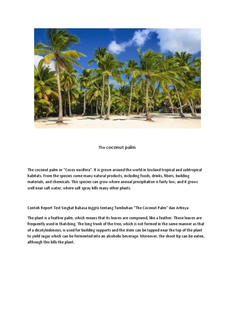 Tugas Report Text | PDF