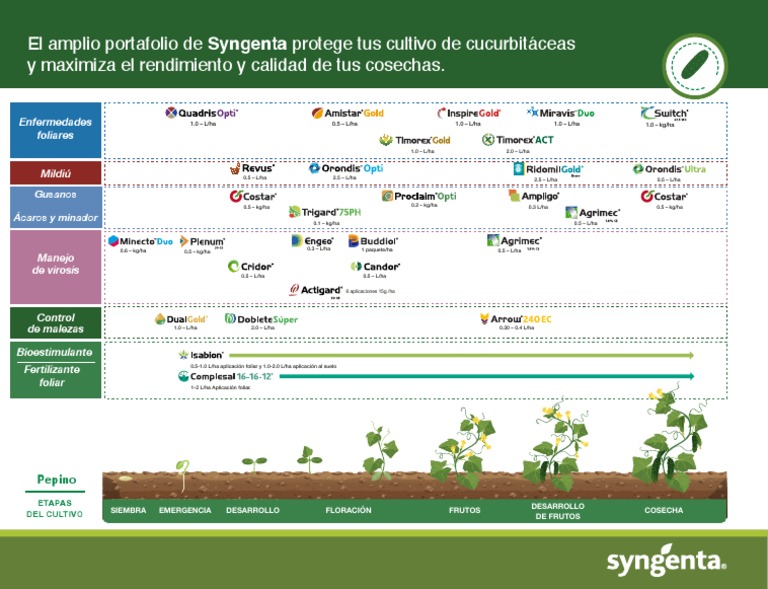 Fenologia Cucurbitaceas | PDF | Agricultura | Plantas