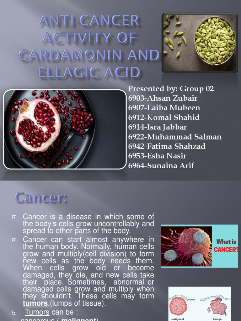 Anti-Cancer Activity of Cardamonin and Ellagic Acid-02 PDF | PDF ...