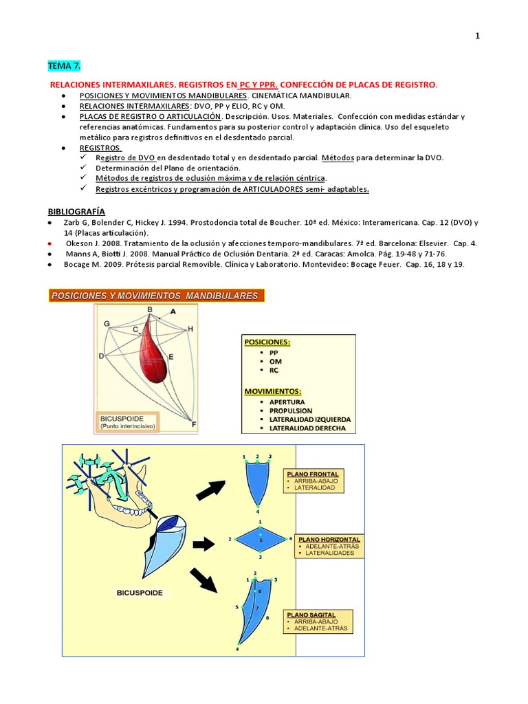 TEMA 7. Reg. Intermax. | PDF | Ramas de Odontología