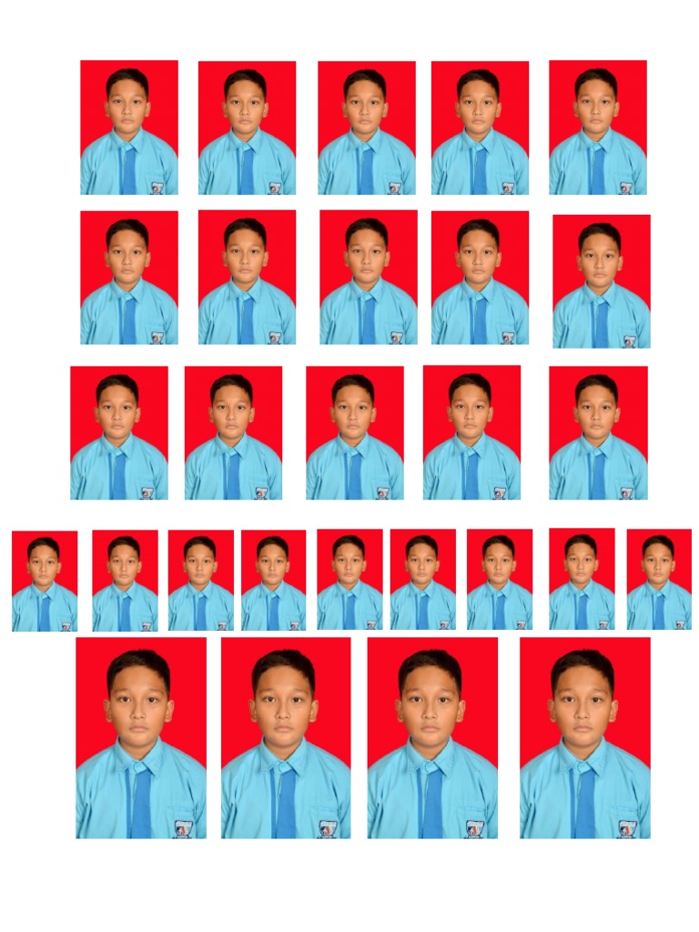 Pas Photo Andrew | PDF