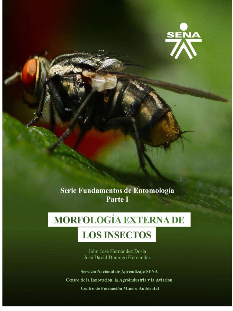 Morfología Externa de Los Insectos - John José | PDF