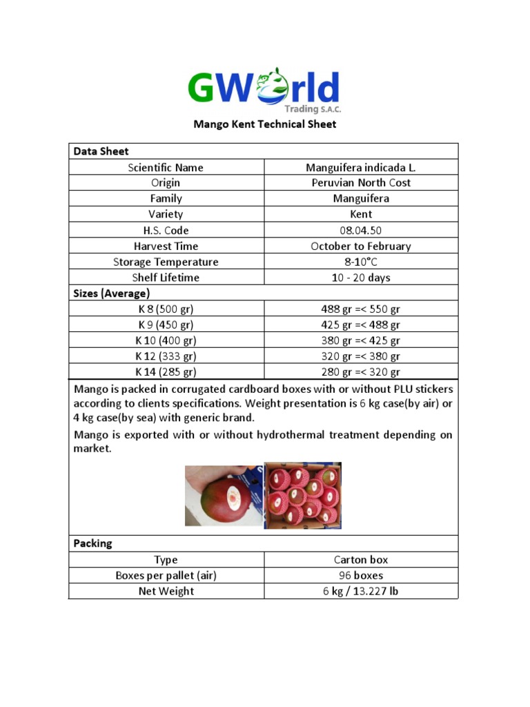 Mango Kent Technical Sheet (GWorld) | PDF
