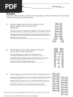 DNA Replication - Labeling | PDF