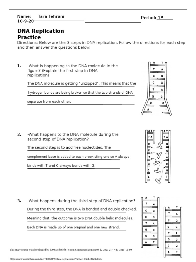 DNA Replication Practice WKSH Blank PDF | PDF | Dna | Dna Replication DNA Replication Practice WKSH Blank PDF | PDF | Dna | Dna Replication