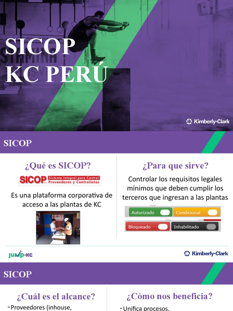 SICOP Informacion | PDF
