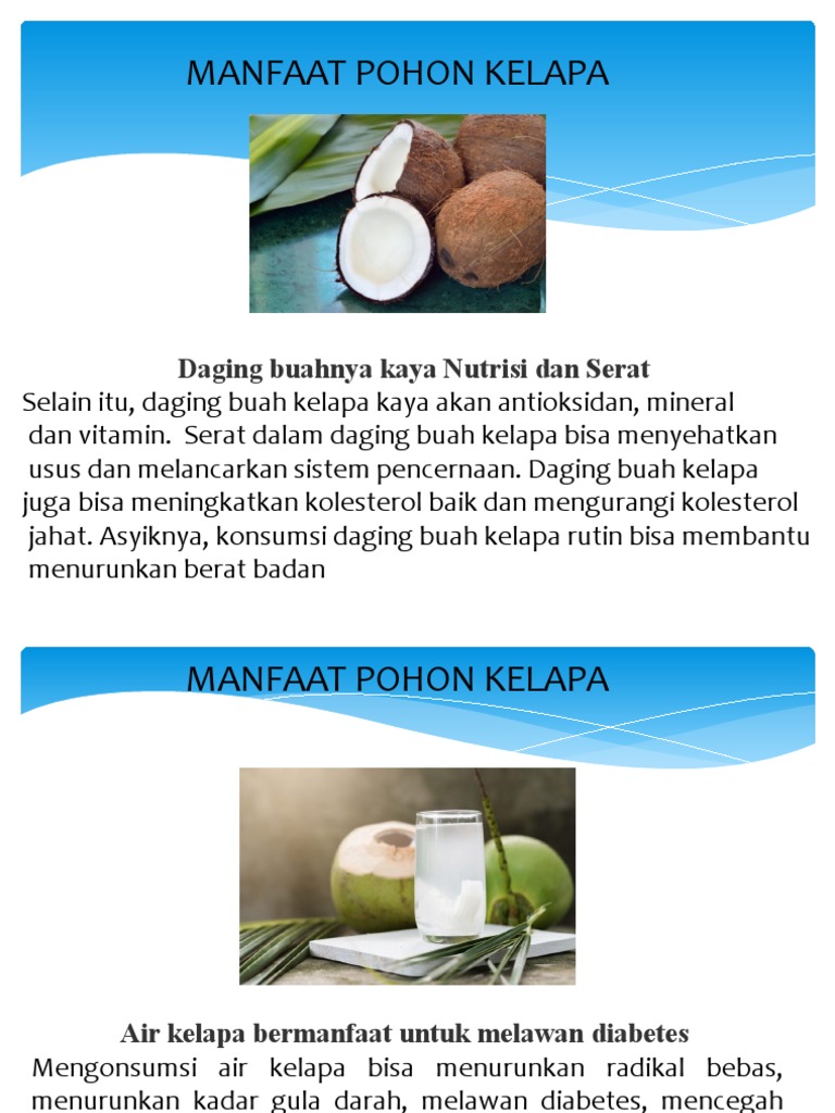 Manfaat Pohon Kelapa | PDF